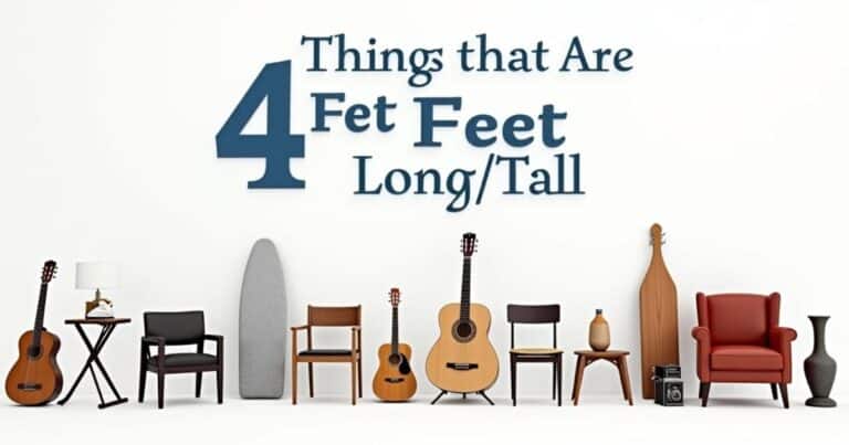 The Magic of 4 Feet: How This Dimension Secretly Shapes Your Daily Life