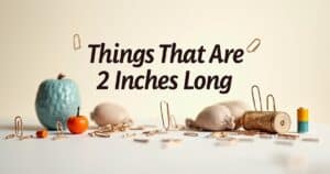 13 Common Things That Are 2 Inches Long/Big