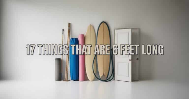 How Long is 6 Feet? 17 Things That Are 6 Ft Long